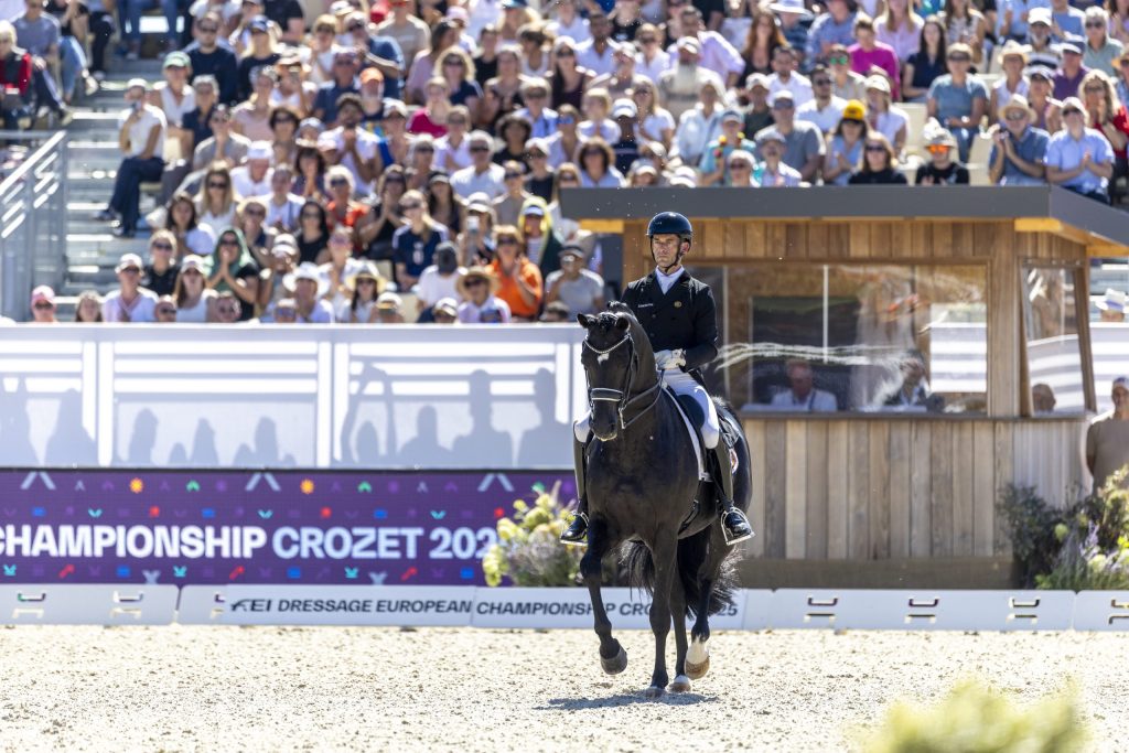 Interview with Justin Verboomen: “With Zonik, anything feels possible ...