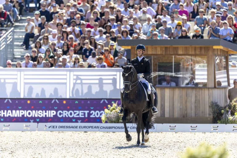 Interview with Justin Verboomen: “With Zonik, anything feels possible ...